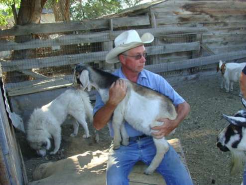 Carl Clinger Biography - EasyKeeper